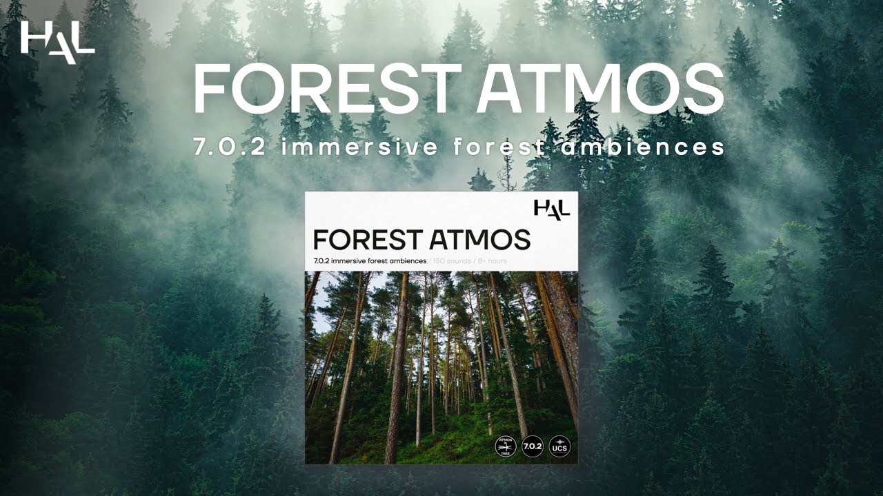 Forest Atmos | Forest Sound Effects Library | Asoundeffect.com
