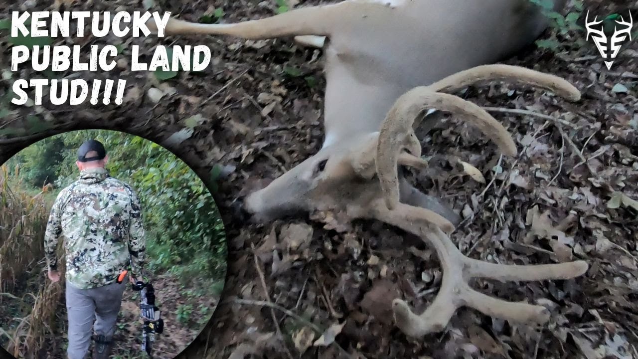 We killed a GIANT!| Kentucky PUBLIC land bow hunt! - YouTube