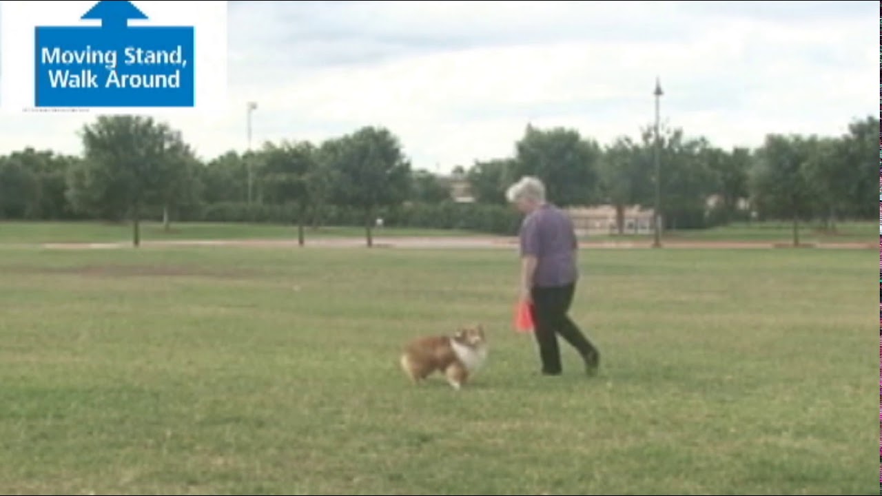 (266) Moving Stand, Walk Around - YouTube