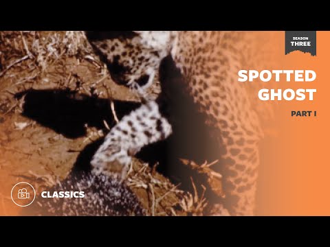 Spotted Ghost Part I