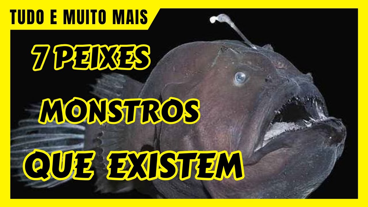 Tudo e Muito Mais: Os 7 Peixes Monstros que Existem - Descubra Agora ...