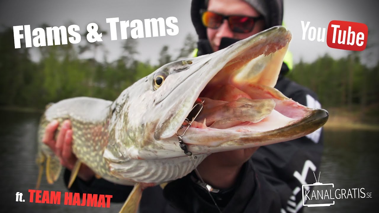 Flams & Trams - Post-Spawn Pike Fishing at Åland ft. Team Hajmat | Kanalgratis.se - YouTube