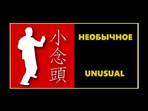 Комплекс 13 приёмов Вин Чун КУНФУ Малайзия / Complex of 13 techniques Wing Chun KUNGFU Malaysia