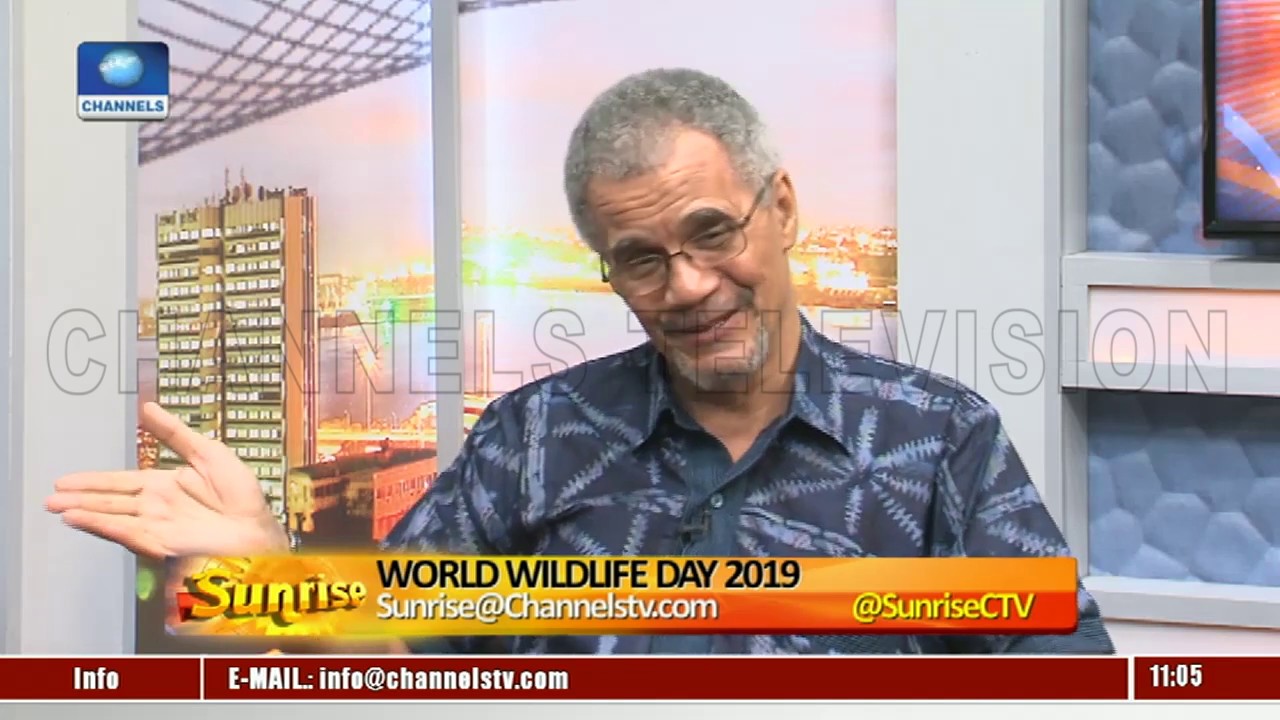 World Wildlife Day: Why We Need To Protect The Earth ...