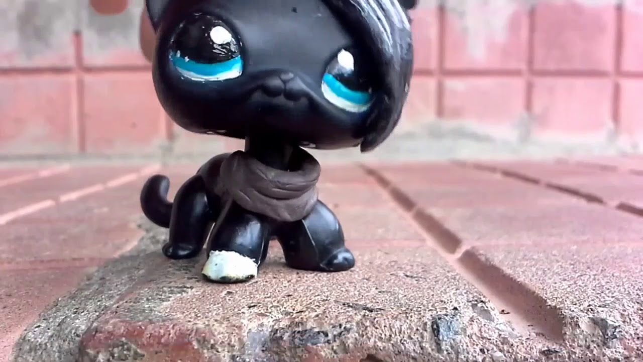 LPS music video : Sad song (MV) - YouTube
