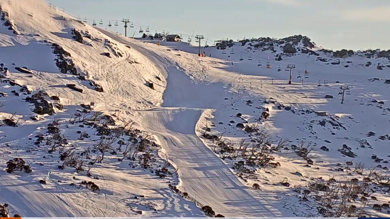 blue cow live 4 aug 2019 - YouTube