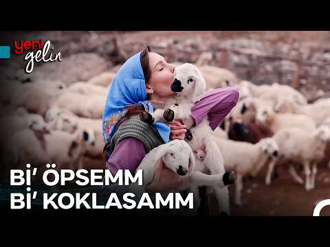Bizim Güncel Kuzu Sevgisi😍 - Yeni gelin