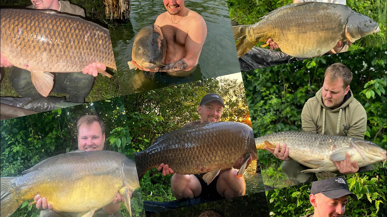 Dreamlakes 2 May 2024 - YouTube