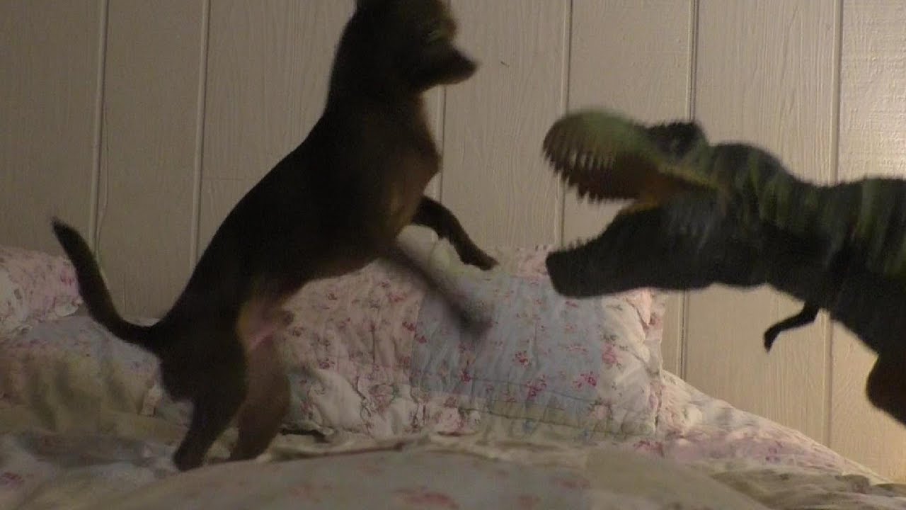 Dino VS Dog - YouTube