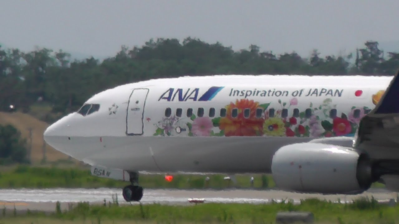 夏に咲くフラワージェット "Flower Jet in Summer" ANA (All Nippon Airways) Boeing 737 ...