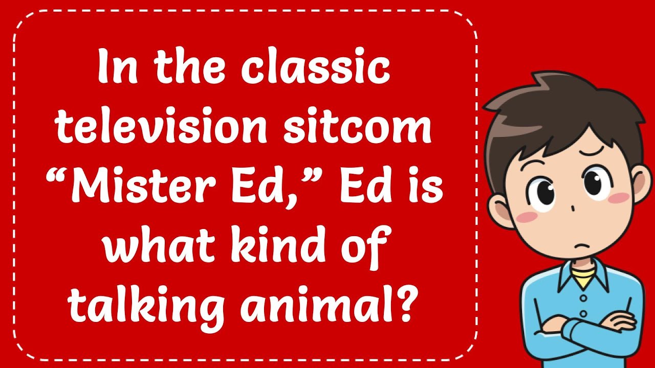 In the classic television sitcom "Mister Ed," Ed is what kind of ...