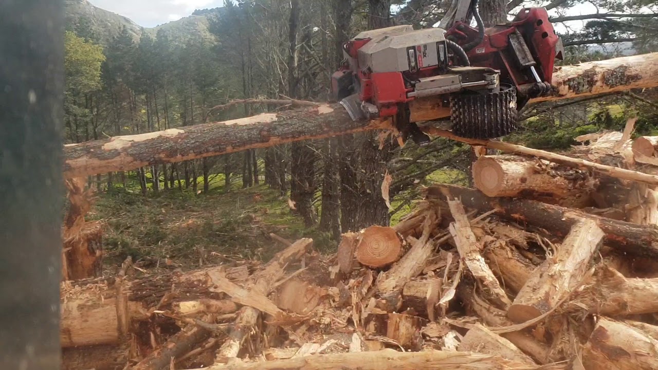 NZ Logging - YouTube