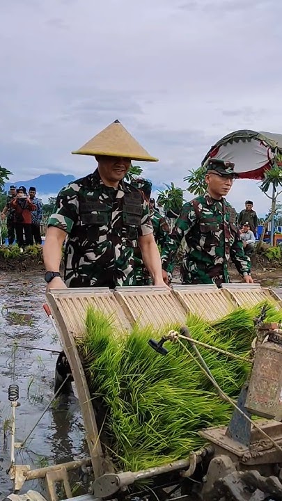 Penanaman Demplot padi di desa/kecamatan Ngantru Wilayah kodim 0807/Tulungagung - YouTube