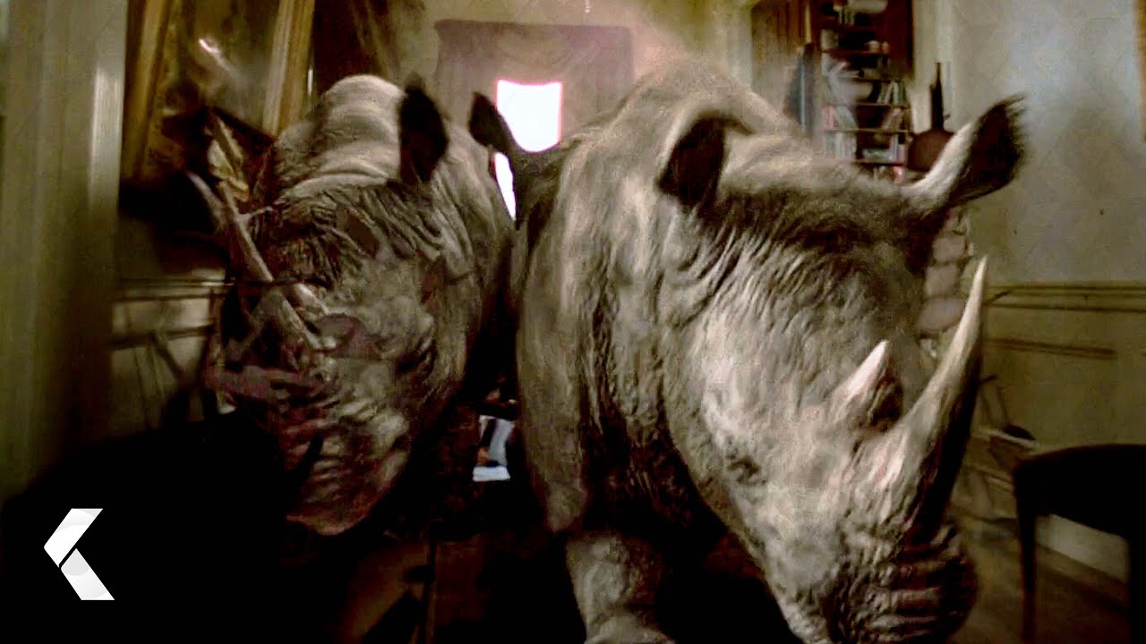 "It's A Stampede!" Scene - Jumanji | Robin Williams - YouTube