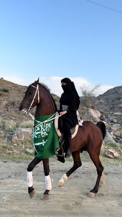 هنا خصمكم ياخيالييين☝️😎#السعودية #اكسبلور #كلمه #خيل #العيدابي #ترند # ...