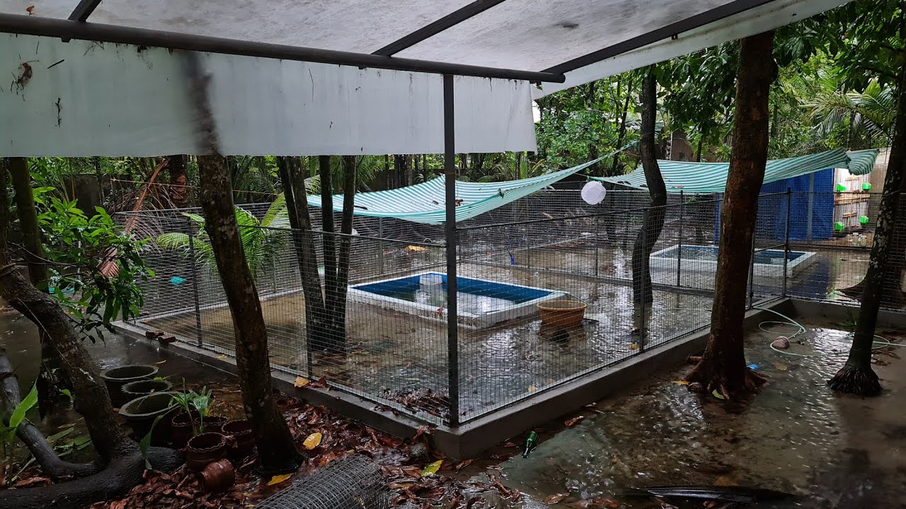 farm view @ heavy rain - YouTube