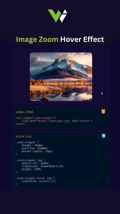 Make image zoom hover effect by using HTML & CSS. #html #css #hovereffect #programming #shorts ...