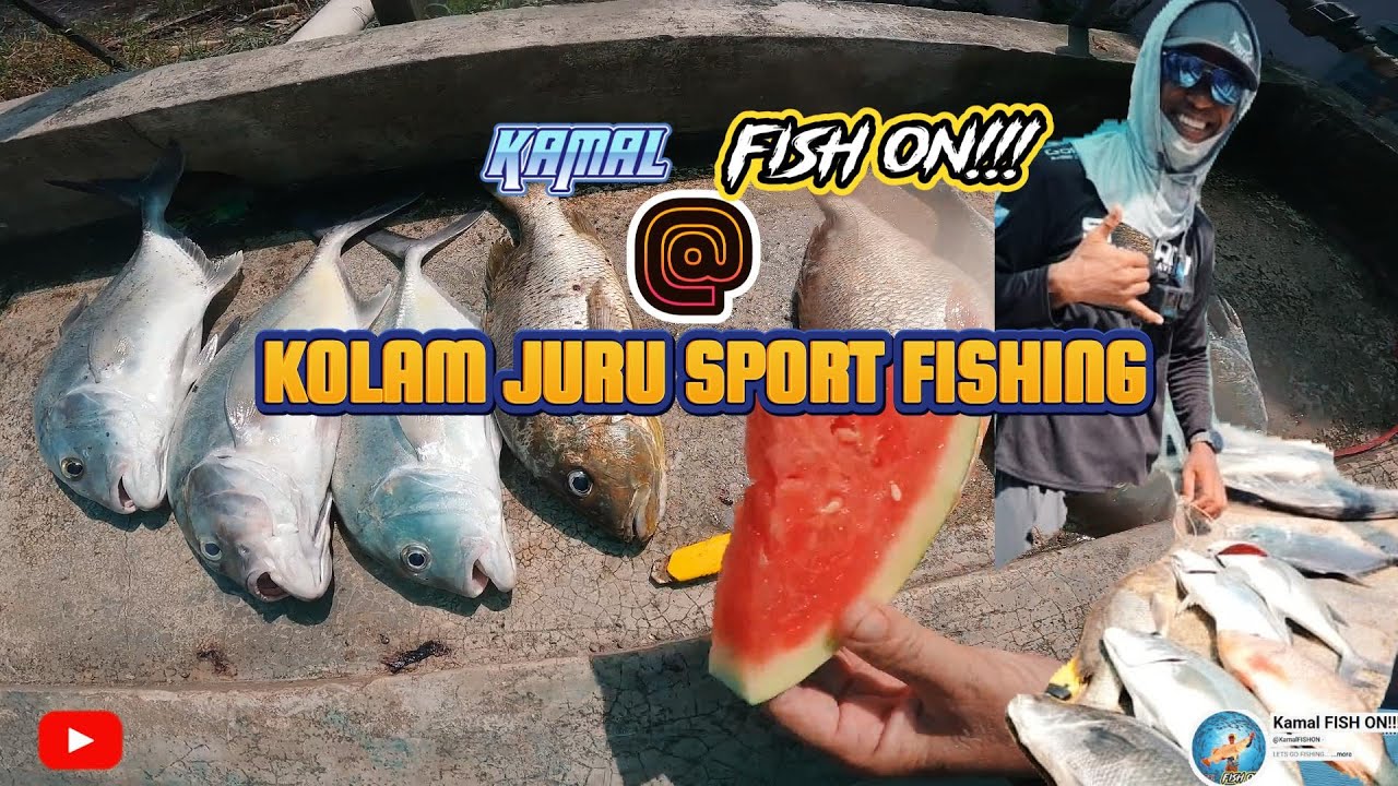 KAMAL FISH ON @ KOLAM JURU SPORT FISHINGI - YouTube