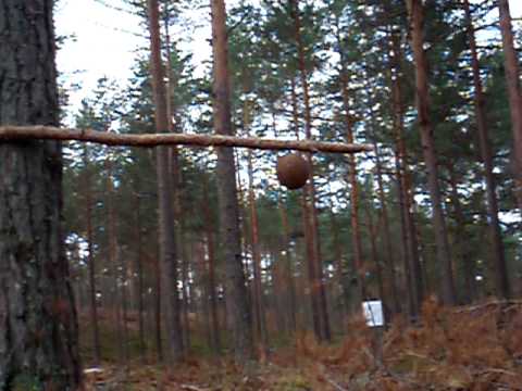 AirGun FX Cutlas(.22cal) vs coconut, distance 102 meters. - YouTube