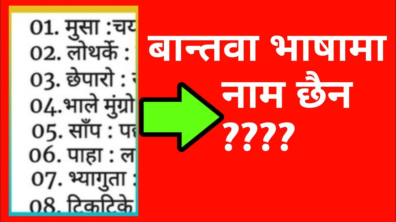 Names Of Small Animals In Bantawa Rai Language names-of-small-animals-in-bantawa-rai-language