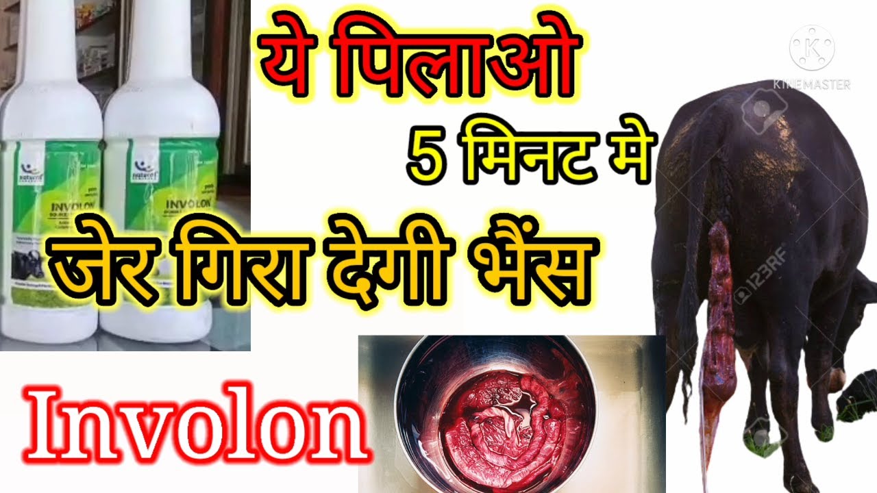 Involon liquid for double strength/Involon liquid foundation/जेर गिराने ...
