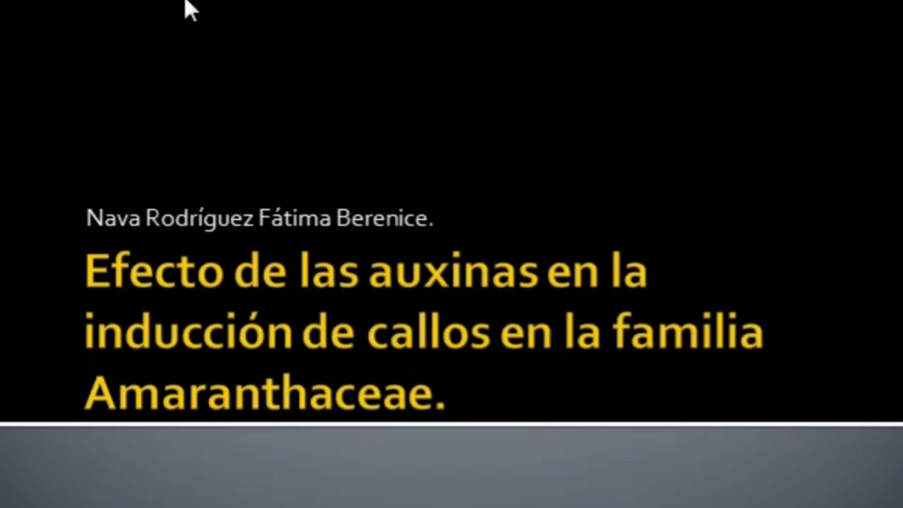Efecto de las auxinas en la inducción de callos en la familia ...