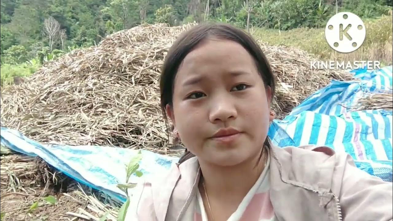 hnub no kuv rov qab mu teb duas lm os thb kuv yuav los teb nej cov ntv ua nej sau cem Maiv Muas ...