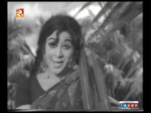 Thettu Malayalam Movie Song | #Sathyan #Sheela #AmritaOnlineMovies ...