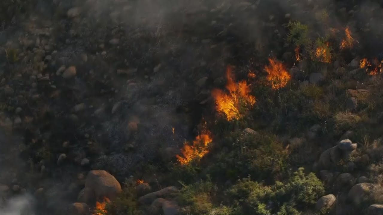 Hundreds told to evacuate as Bush Fire burns in Tonto National Forest ...