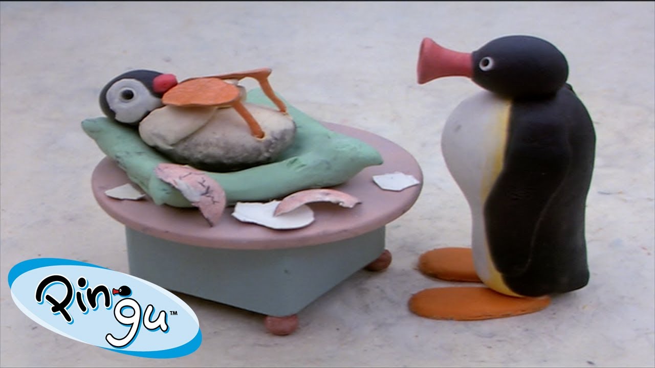 Pinga Is Born Pingu Official Channel Cartoons For Kids YouTube pinga-is-born-pingu-official-channel-cartoons-for-kids-youtube