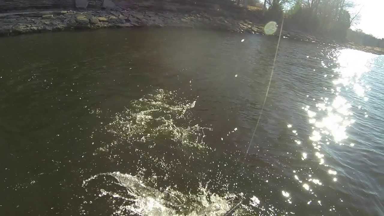 episode #1 gopro bass fishing Float n fly fishing in Tennessee. - YouTube