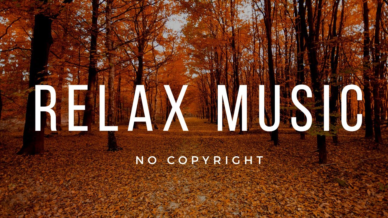 Arc North Catch Me When I Fall NO COPYRIGHT MUSIC Royalty free music ...