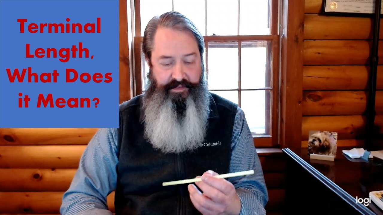 Beard Terminal Length, What Does it Mean? - YouTube