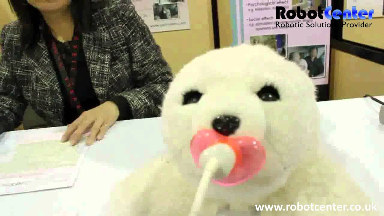 Paro Therapeutic Robot - YouTube