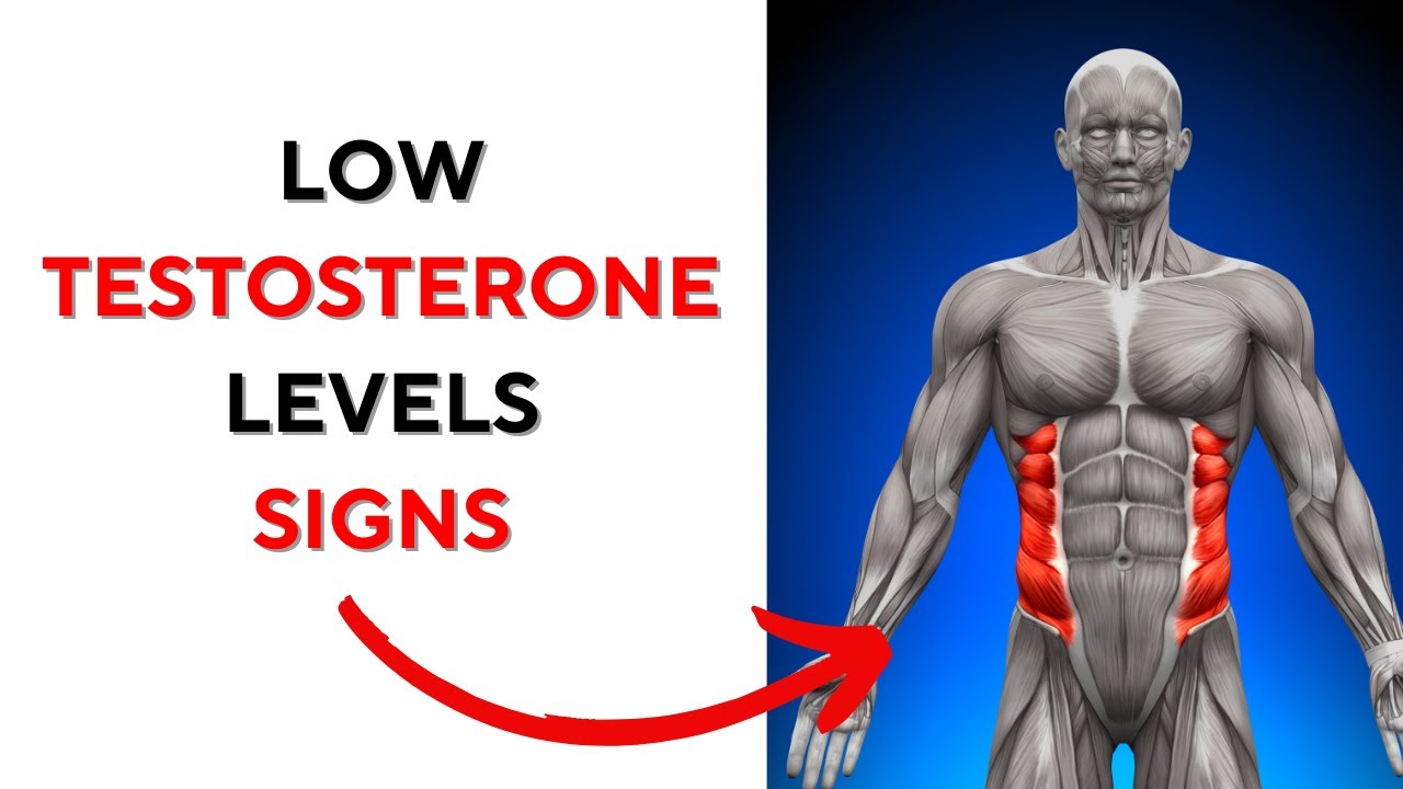 Symptoms of Low Testosterone Level - YouTube