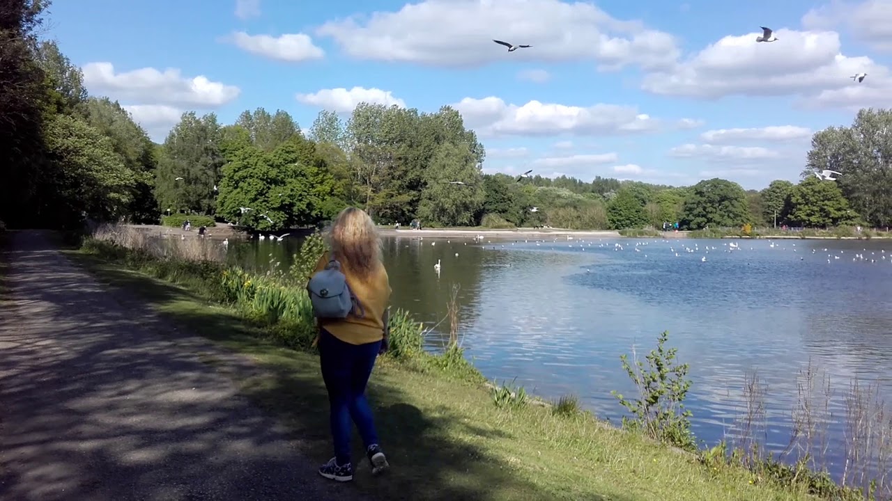 MOSES GATE COUNTRY PARK BOLTON Tour. England, UK - YouTube