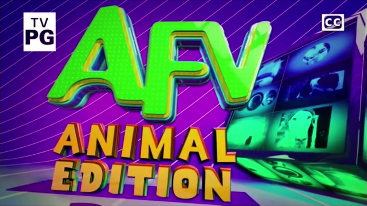 AFV Animal Edition………. on Disney XD - YouTube