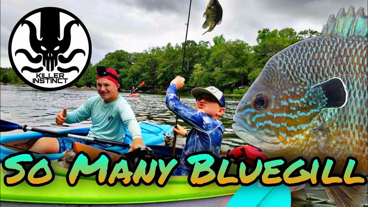 Slaying Bluegill, Near Death Experience With Snake, and Epic Kayaken ...