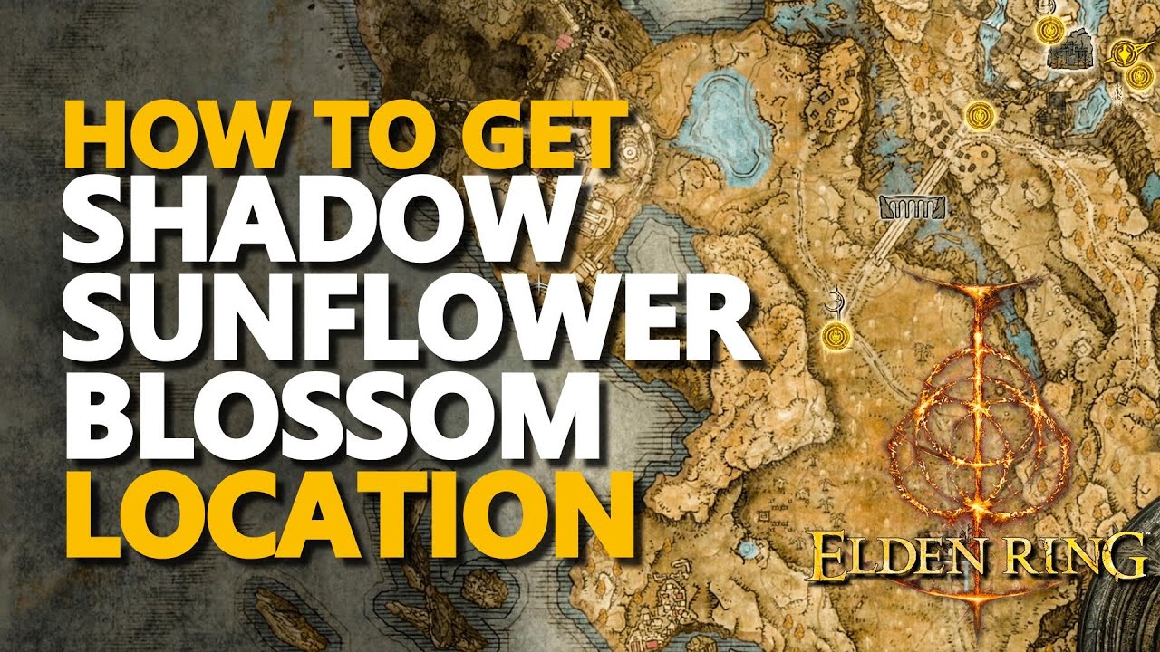 Shadow Sunflower Blossom Location Elden Ring - YouTube