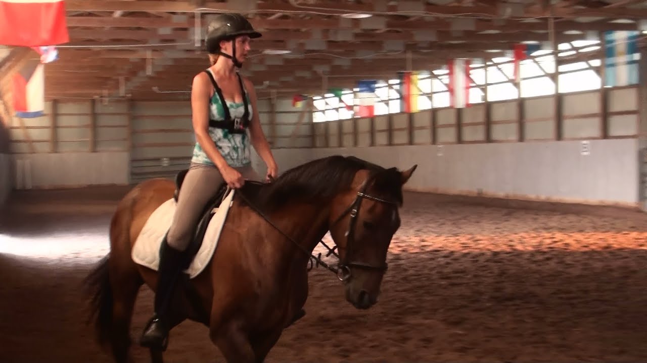 Rocky Branch Stables Dressage Clinic with Aaron Wilson - YouTube