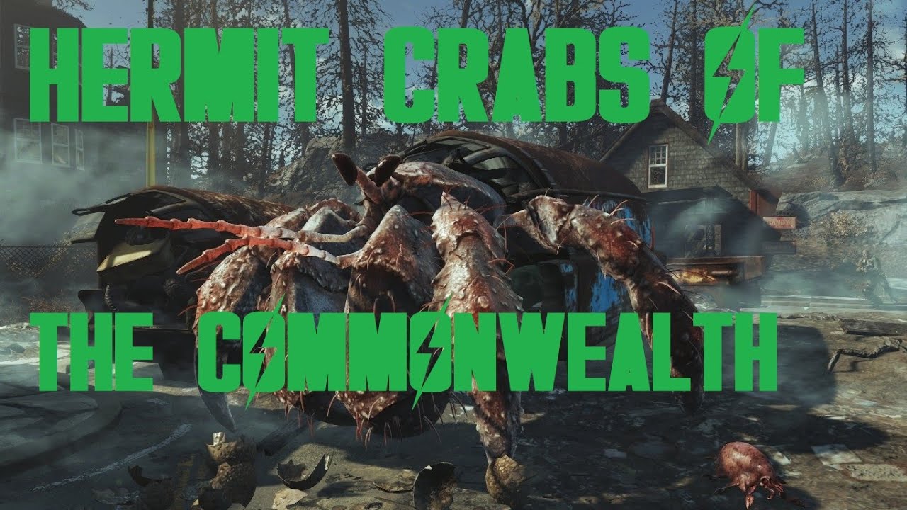 FALLOUT 4 MOD REVIEW Hermit Crabs of the Commonwealth - YouTube