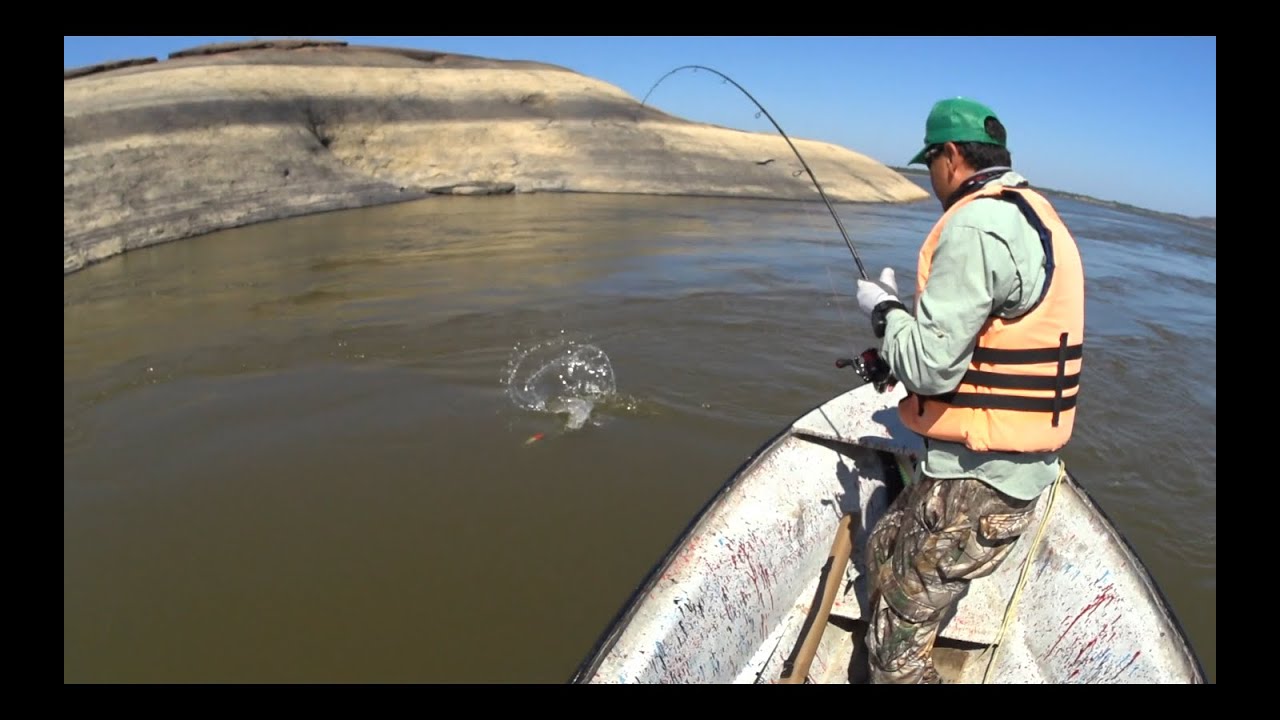 LA PESCA DE PAYARA EN COLOMBIA RIO ORINOCO, VAMPIRE FISHING, RIO ...