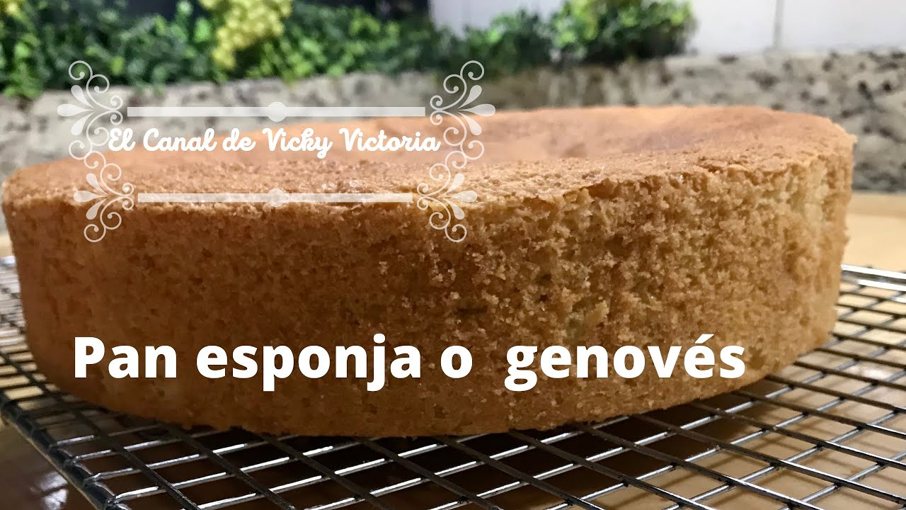 Pan esponja, genovés y su conservación - YouTube
