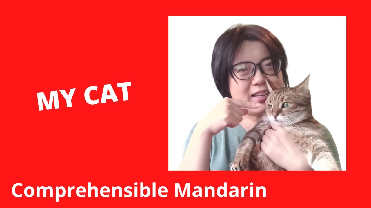 My Cat - Chinese Comprehensible Input - YouTube