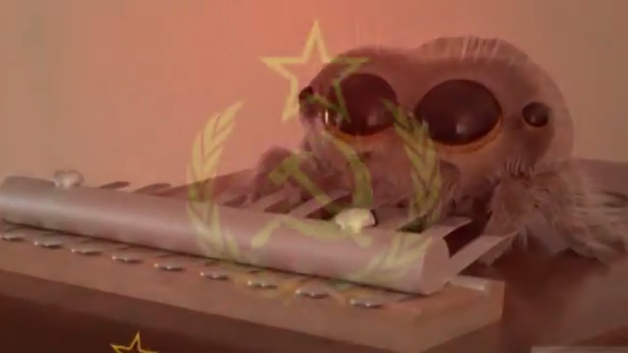 Lucas The Spider plays Rush🅱 for his Rushing Comrades - YouTube