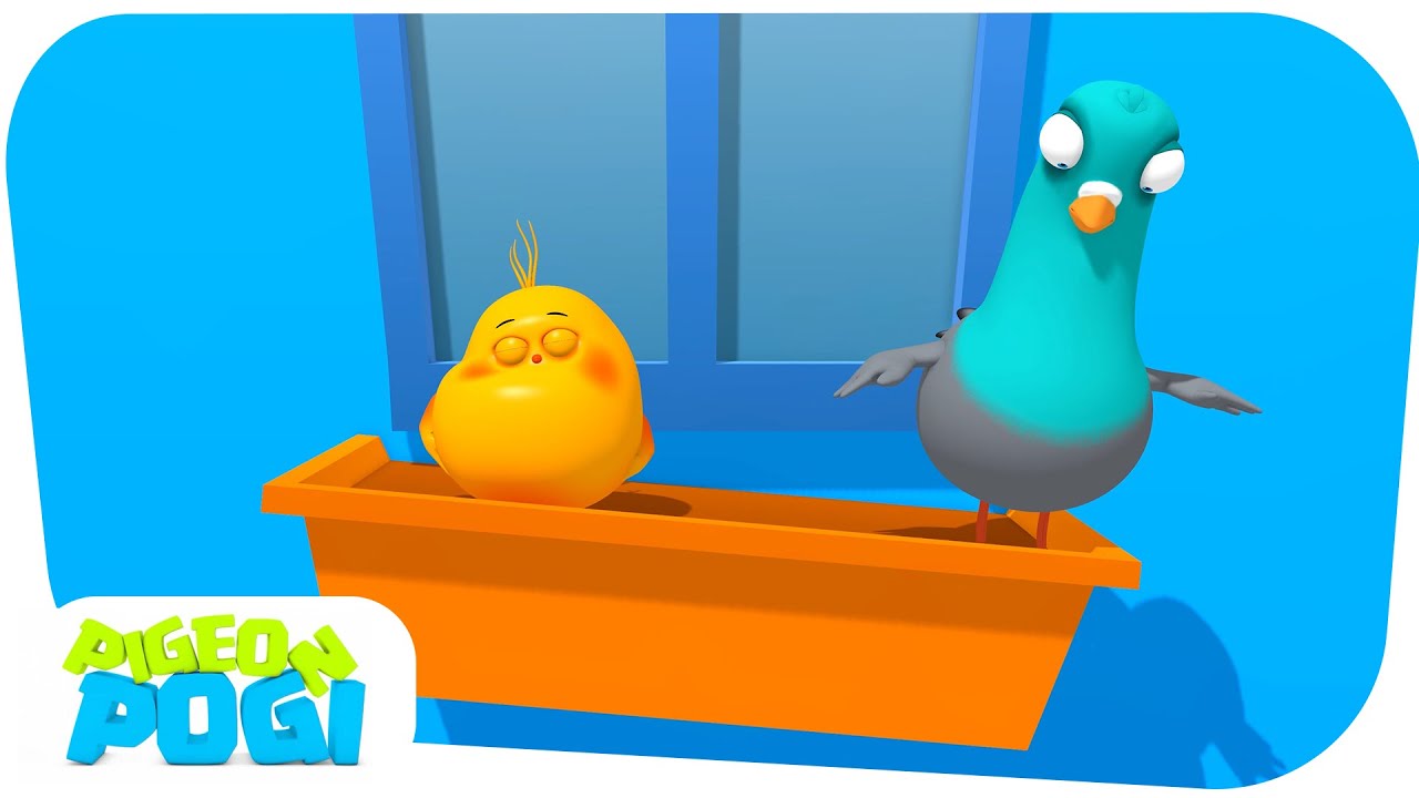 Pigeon Pogi | LITTLE ACCIDENT | Pogi Cartoon for Kids - YouTube