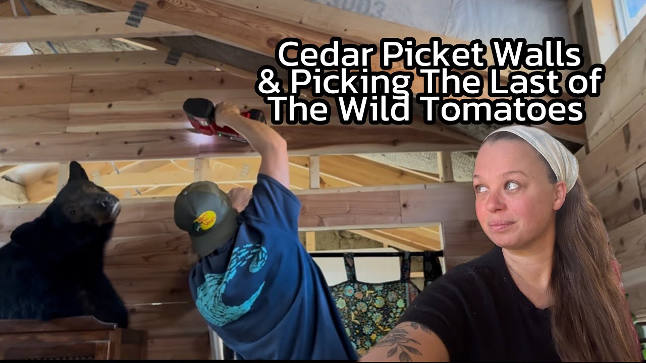 Off-Grid Prepper Homestead Progress | Laundry, Wild Tomatoes & Putting ...