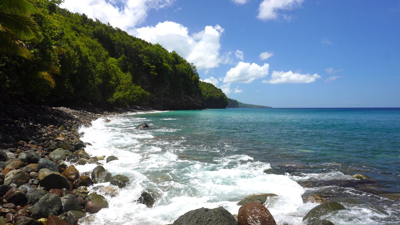 Tropical Real Life Screensaver - Relaxing Ocean Waves Sounds - 4K ...