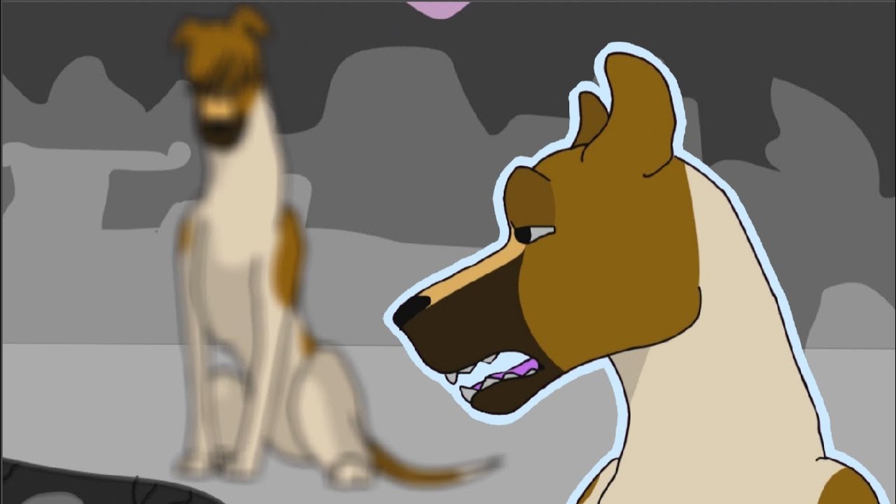 Waiting by the phone - animation meme with whippet Nano - YouTube