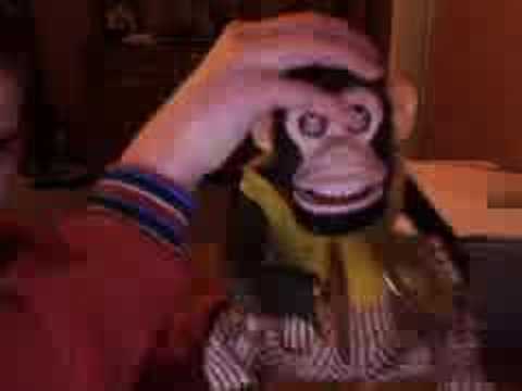Real Evil Monkey